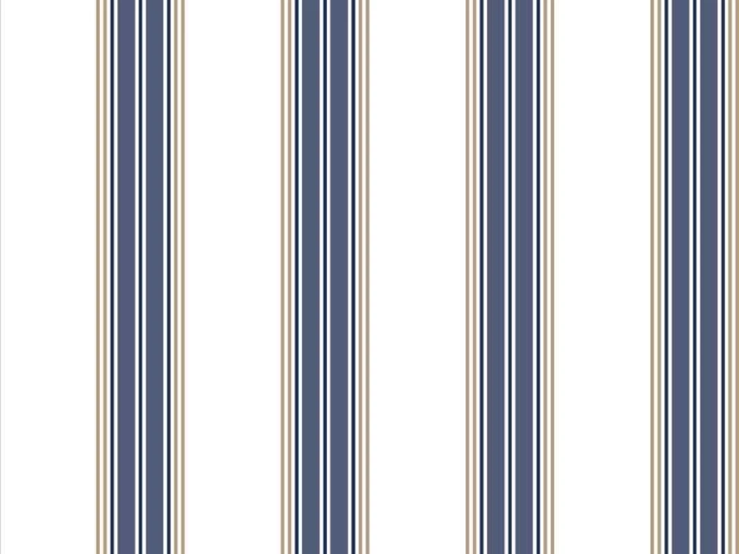 Fundo Listrado Azul Escuro E Branco Feche Textura Tecido Listrado Azul